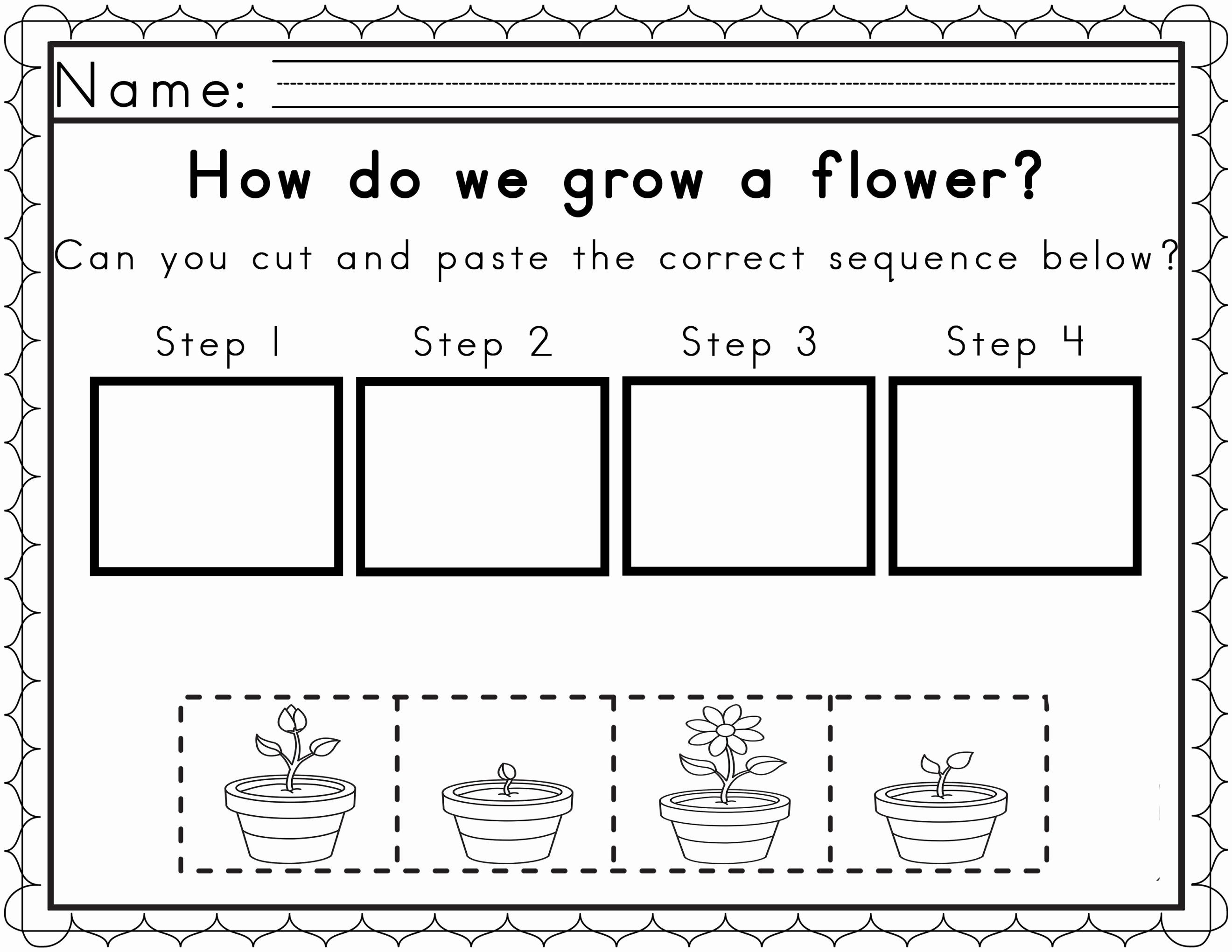 Life Cycle Of A Plant Coloring Page Coloring Home Free Plant Life