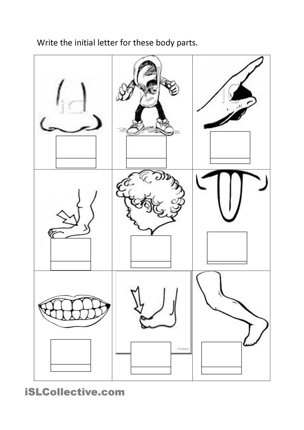 Free Printable Worksheets Kindergarten Body Parts Lexia s Blog Free Printable Worksheets Kindergarten Body Parts Lexia s Blog